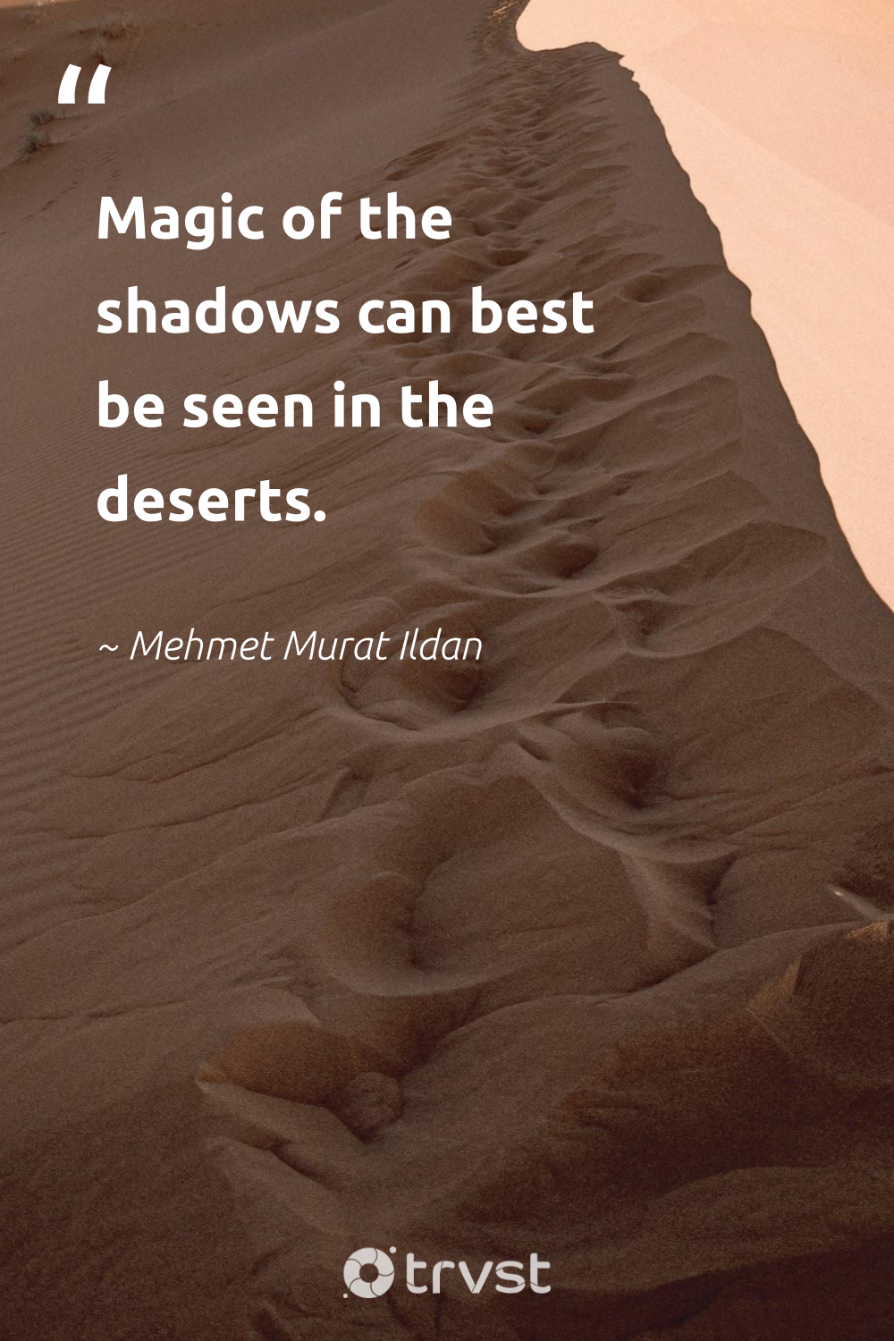 54 Desert Quotes About Life and The Beauty of Barren Landscapes