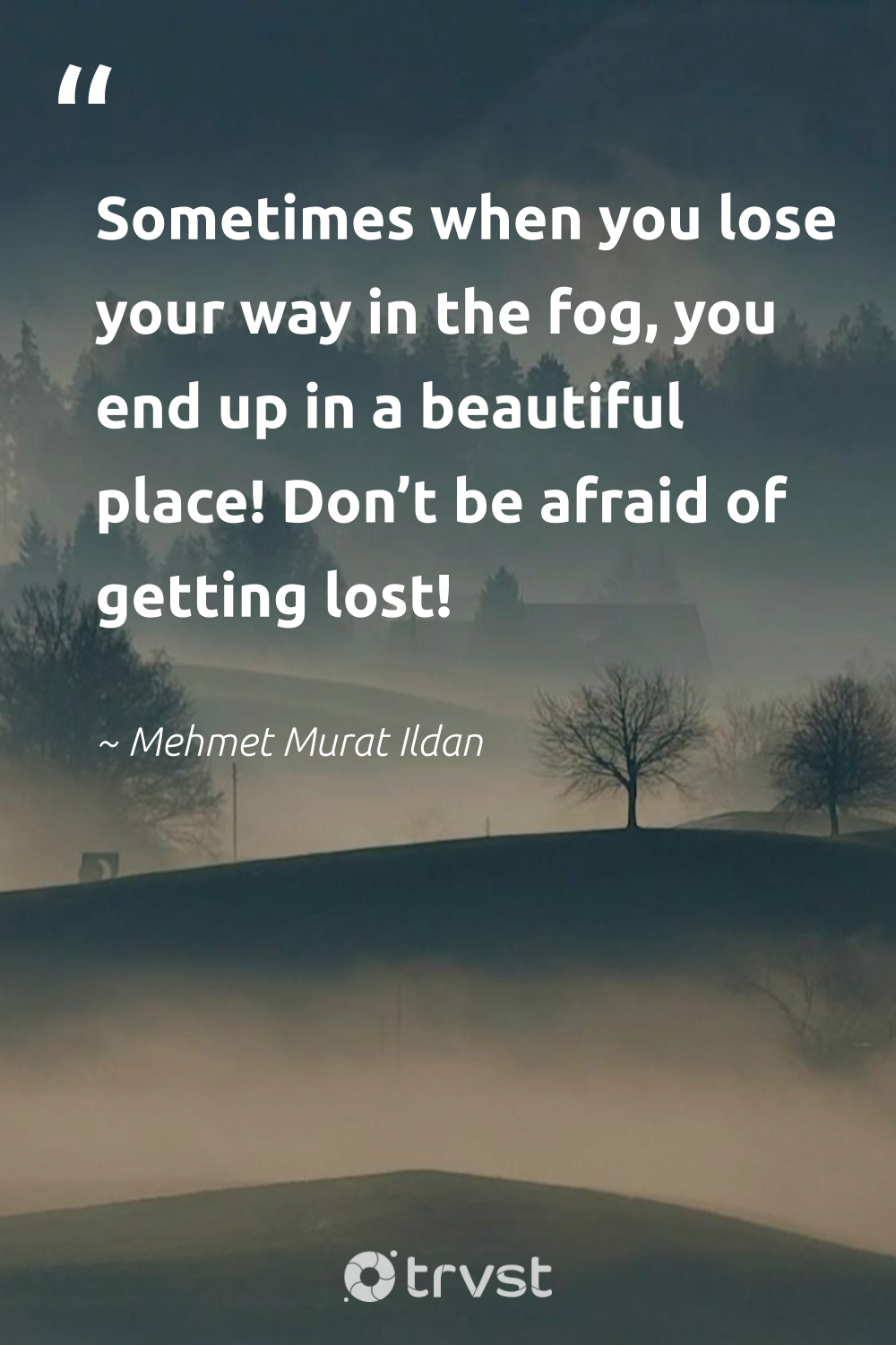 66 Fog Quotes for Those Quiet Misty Morning Reflections (2025)