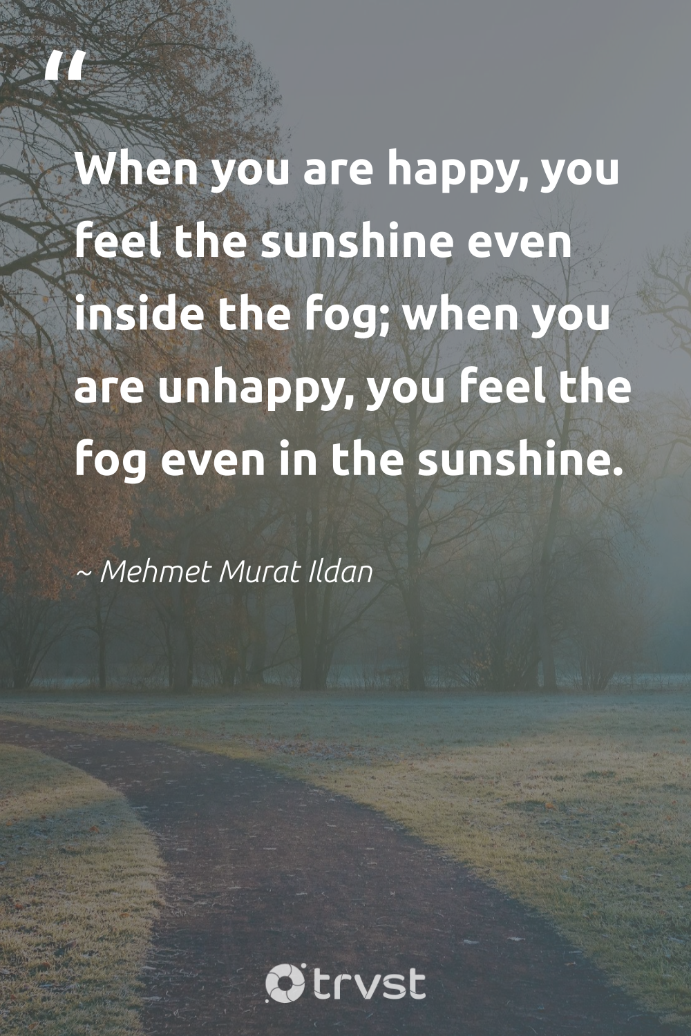 66 Fog Quotes for Those Quiet Misty Morning Reflections (2024)