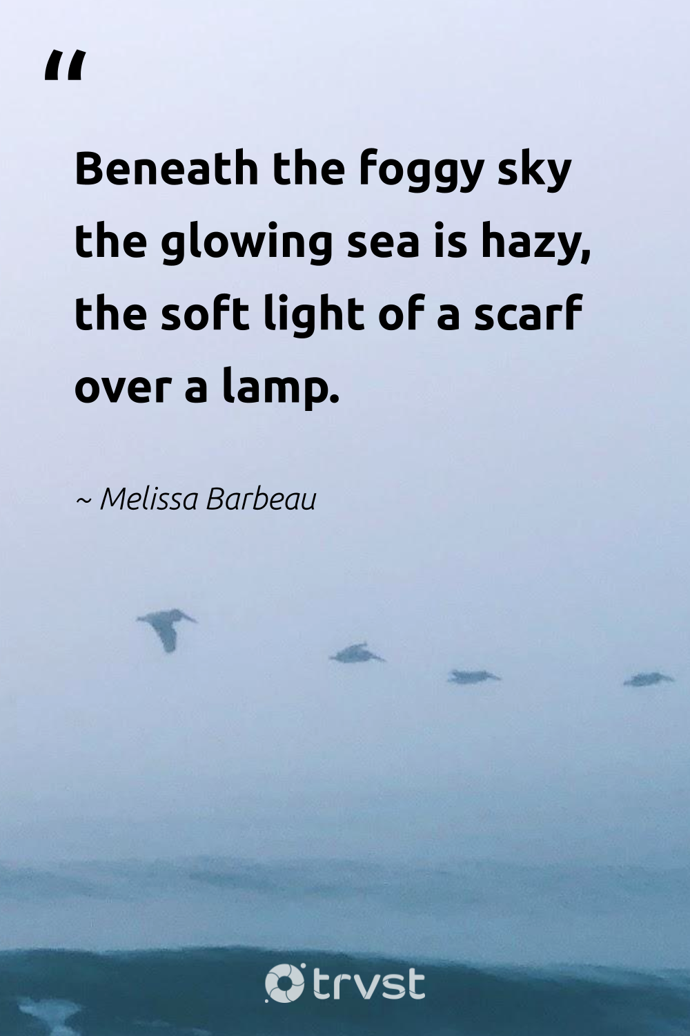 66 Fog Quotes for Those Quiet Misty Morning Reflections (2024)