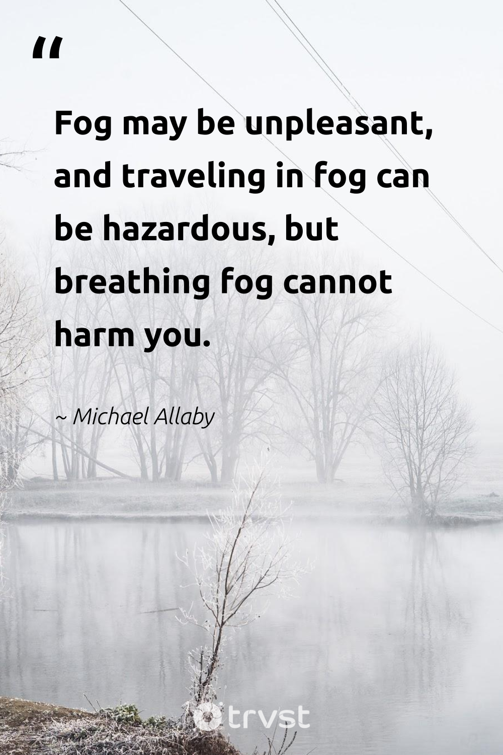 66 Fog Quotes for Those Quiet Misty Morning Reflections (2024)