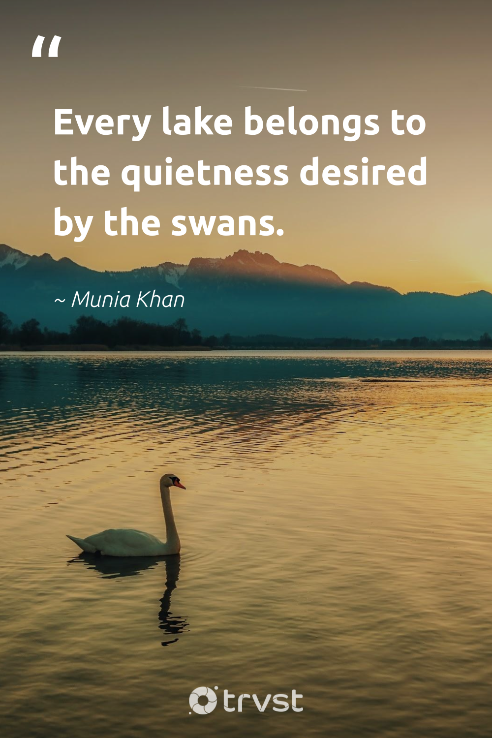 50 Lake Quotes Inspiring Tranquillity And Relaxation (2024)