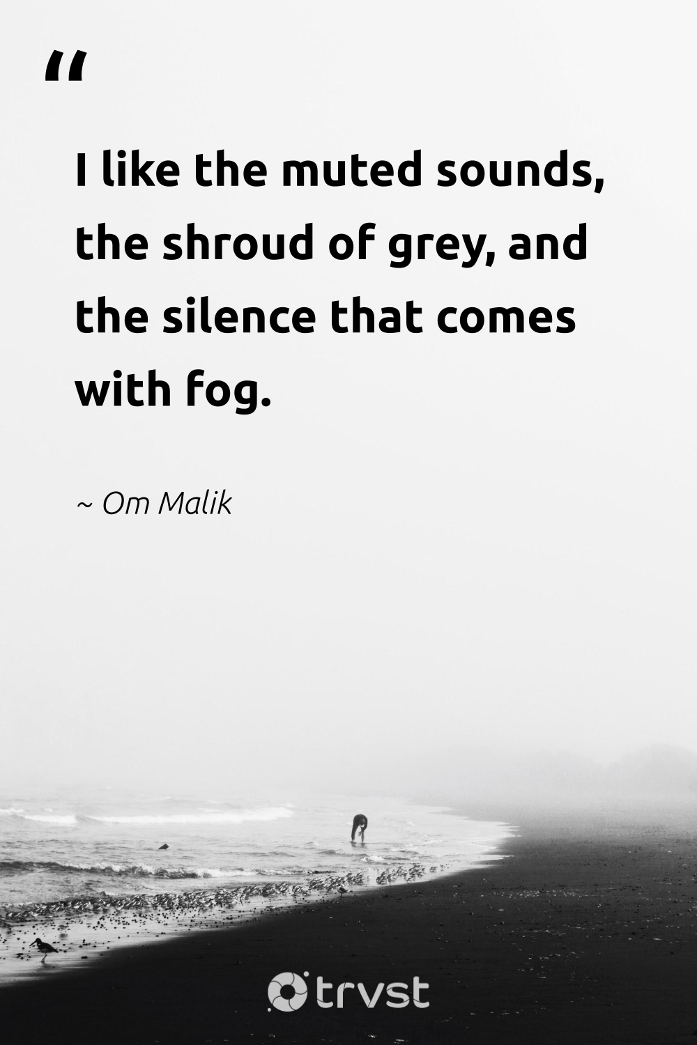 66 Fog Quotes for Those Quiet Misty Morning Reflections (2024)
