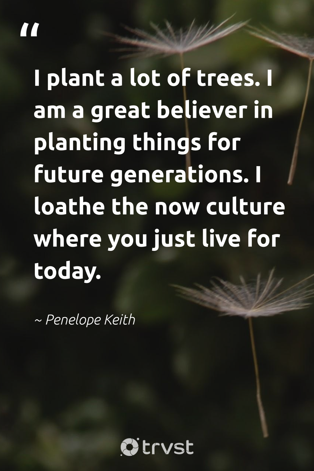 69 Plant Quotes to Inspire Your Green Thumb and Plant Love