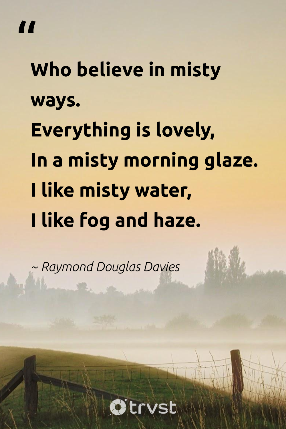 66 Fog Quotes for Those Quiet Misty Morning Reflections (2025)