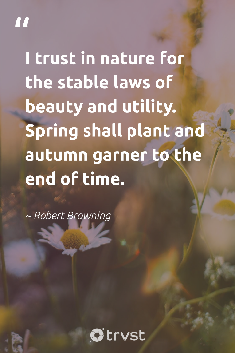 69 Plant Quotes to Inspire Your Green Thumb and Plant Love