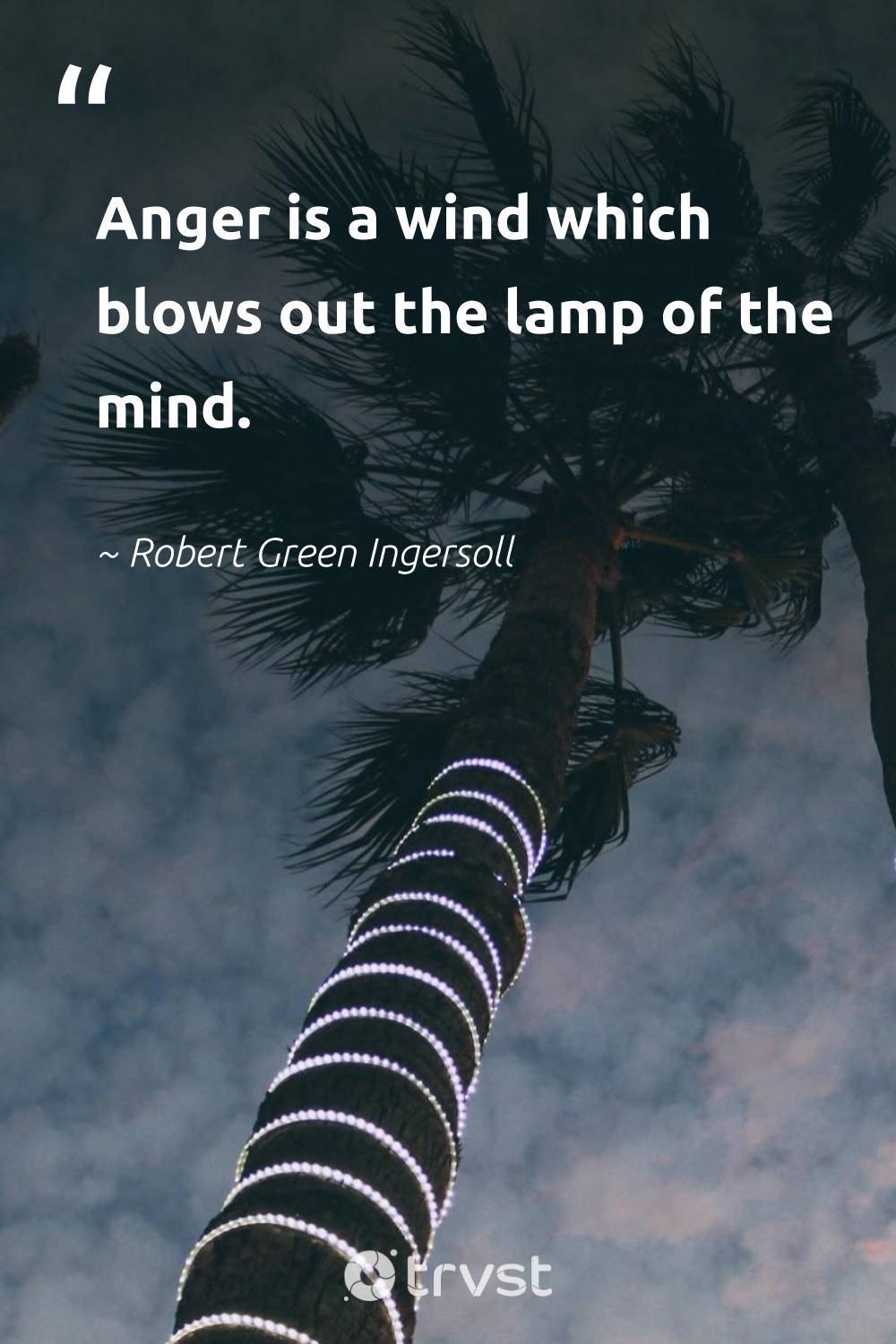 72 Wind Quotes About Brisk Days and Windy Moments (2024)