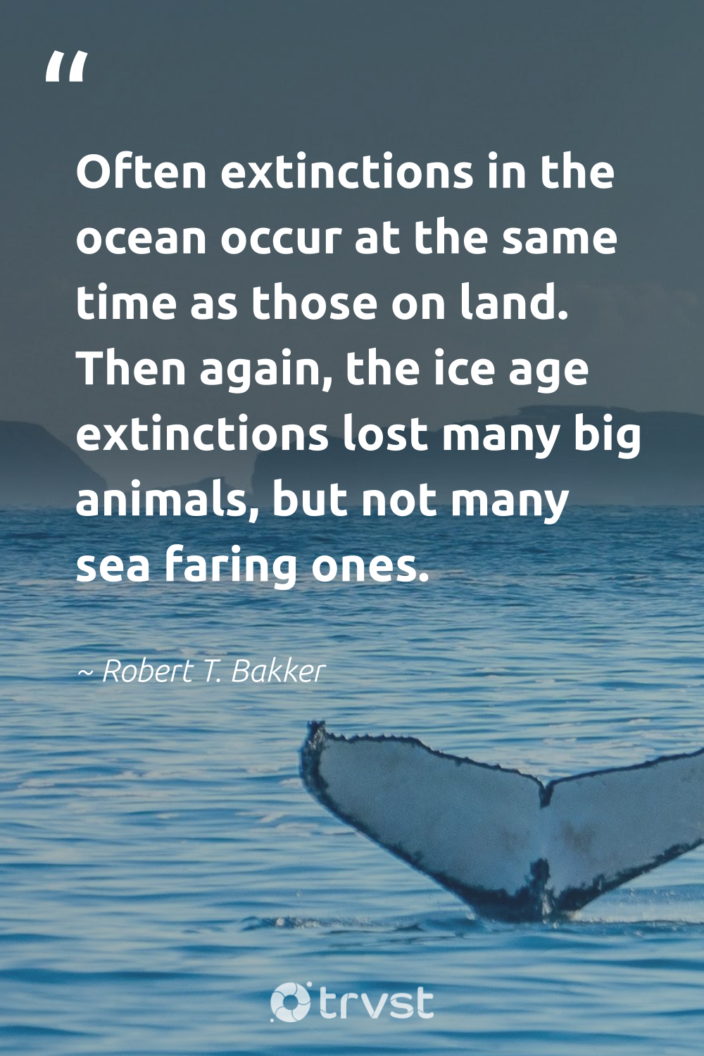 36 Ice Quotes That Remind Us To Protect All Of Nature (2024