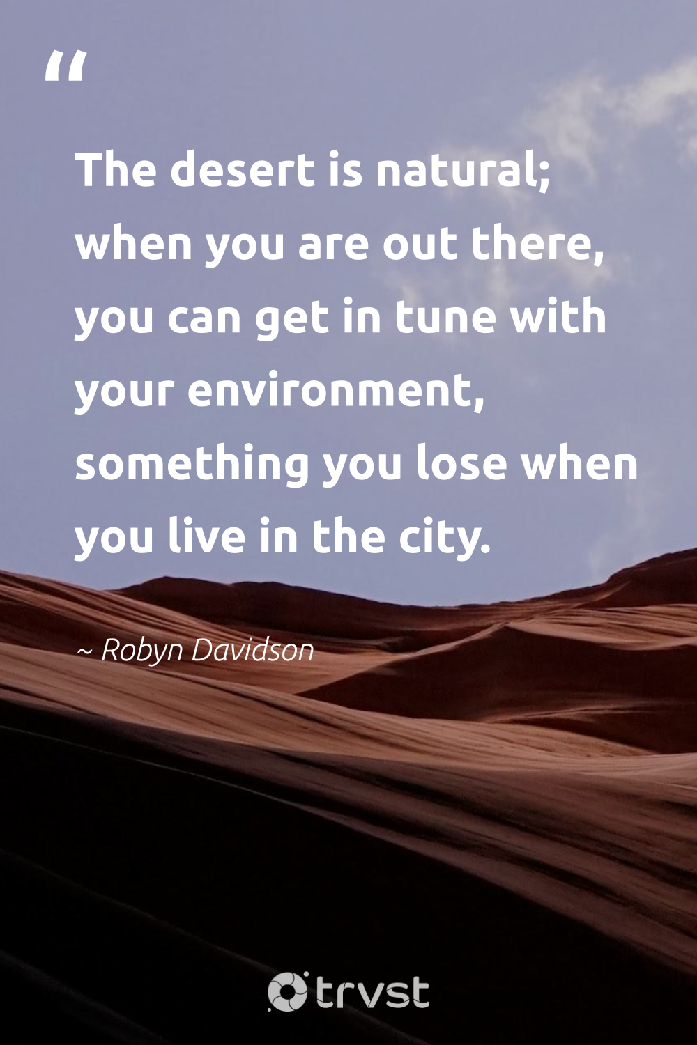 54 Desert Quotes About Life and The Beauty of Barren Landscapes