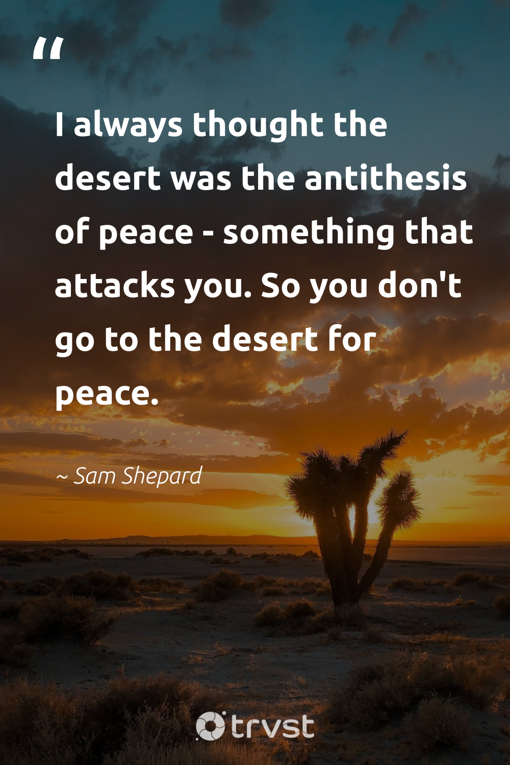 54 Desert Quotes About Life and The Beauty of Barren Landscapes