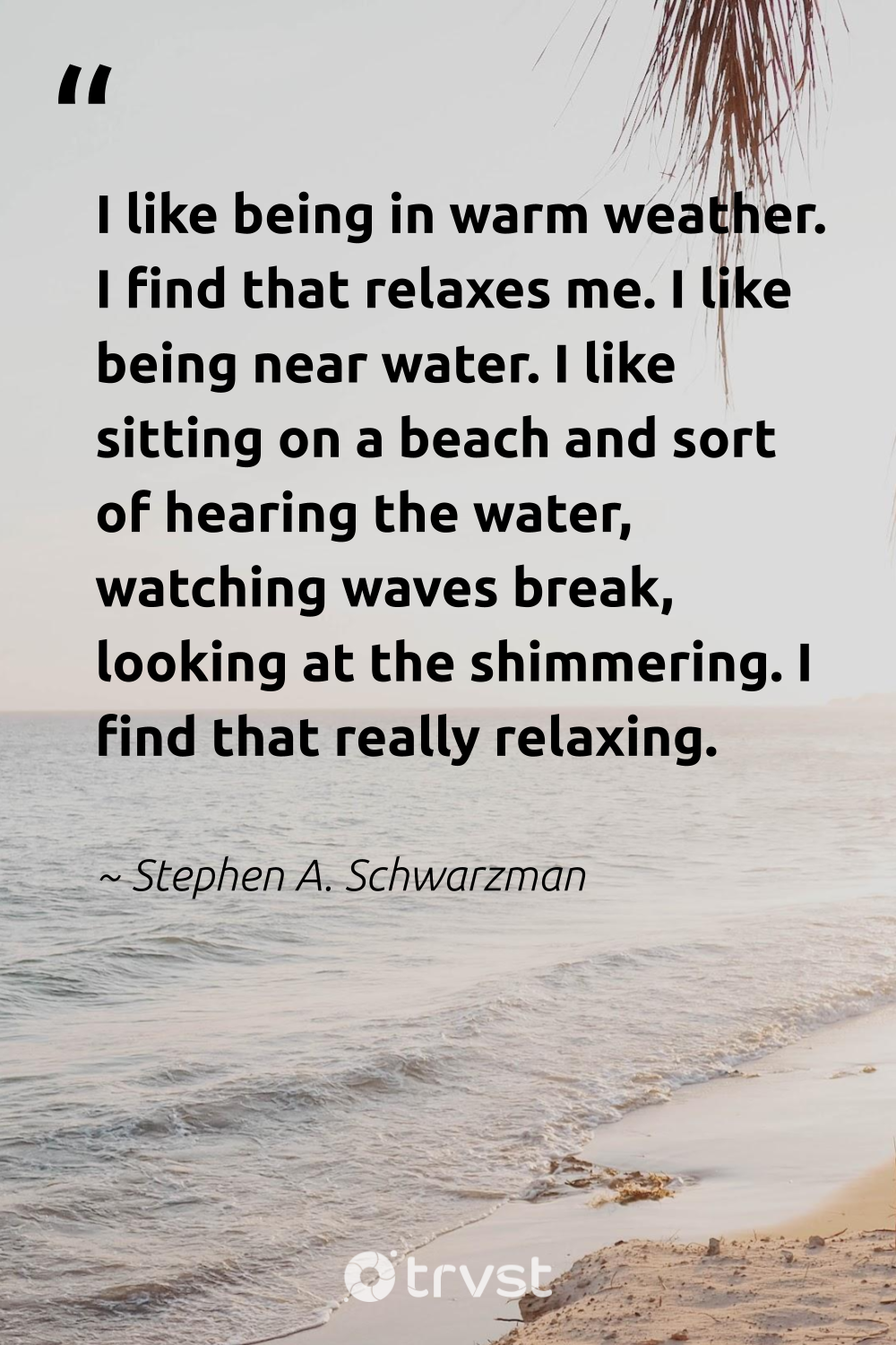 57 Waves Quotes for Beach Moments & Life Journeys (2024)