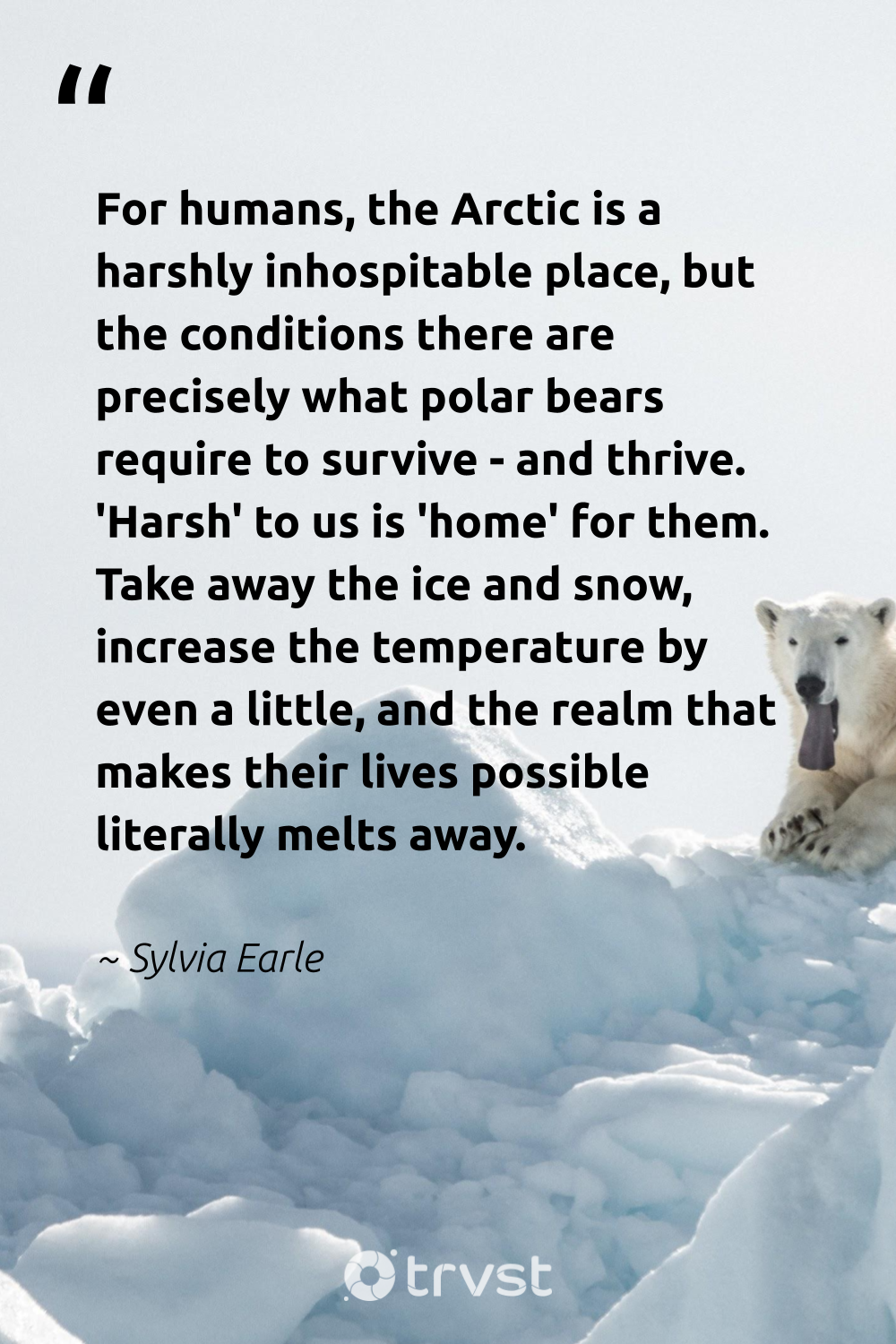 36 Ice Quotes That Remind Us To Protect All Of Nature (2024