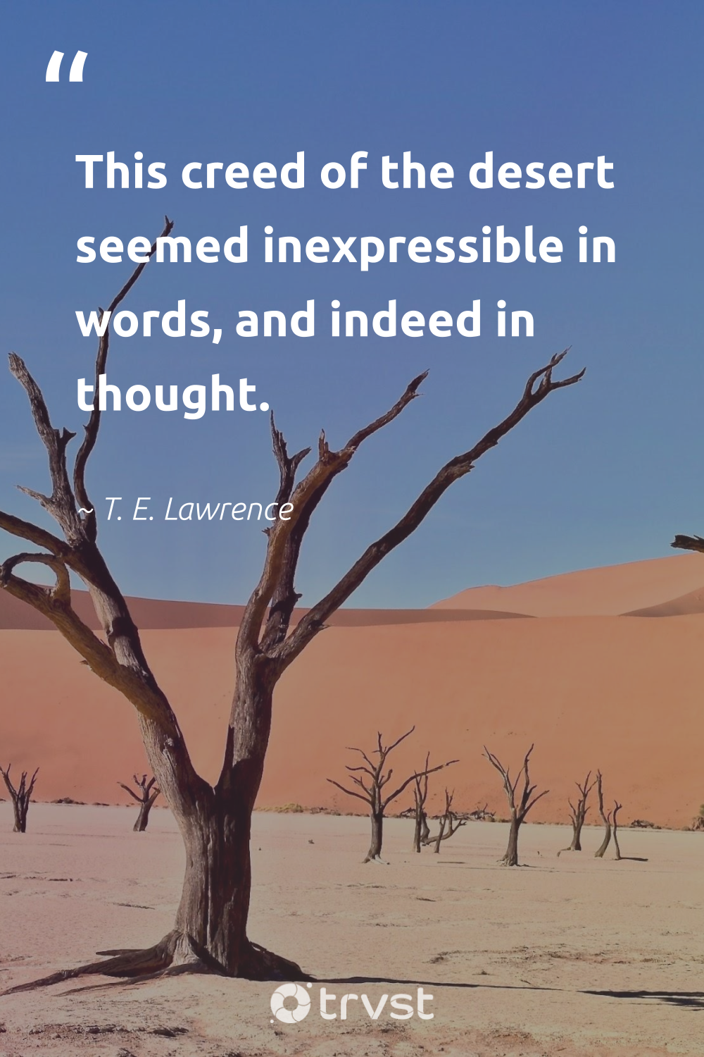 54 Desert Quotes About Life and The Beauty of Barren Landscapes