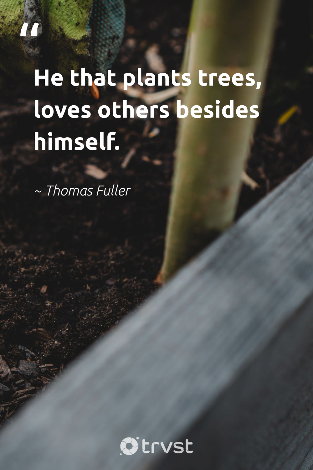 69 Plant Quotes to Inspire Your Green Thumb and Plant Love