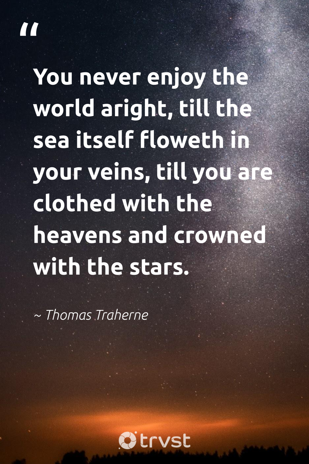 95 Star Quotes For Pondering Starry Nights And Reflection (2024)