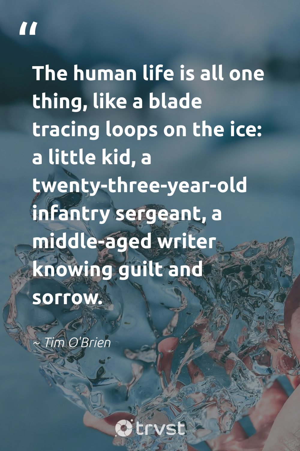 36 Ice Quotes That Remind Us To Protect All Of Nature (2024