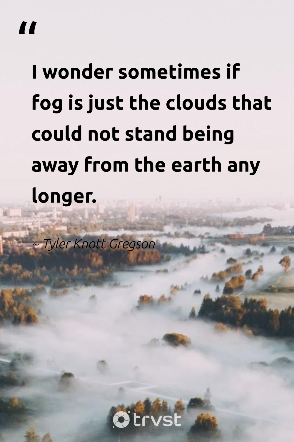 66 Fog Quotes for Those Quiet Misty Morning Reflections (2024)