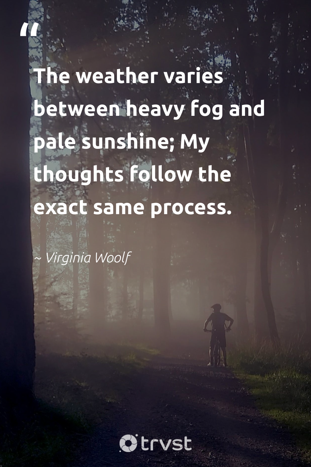 66 Fog Quotes for Those Quiet Misty Morning Reflections (2025)