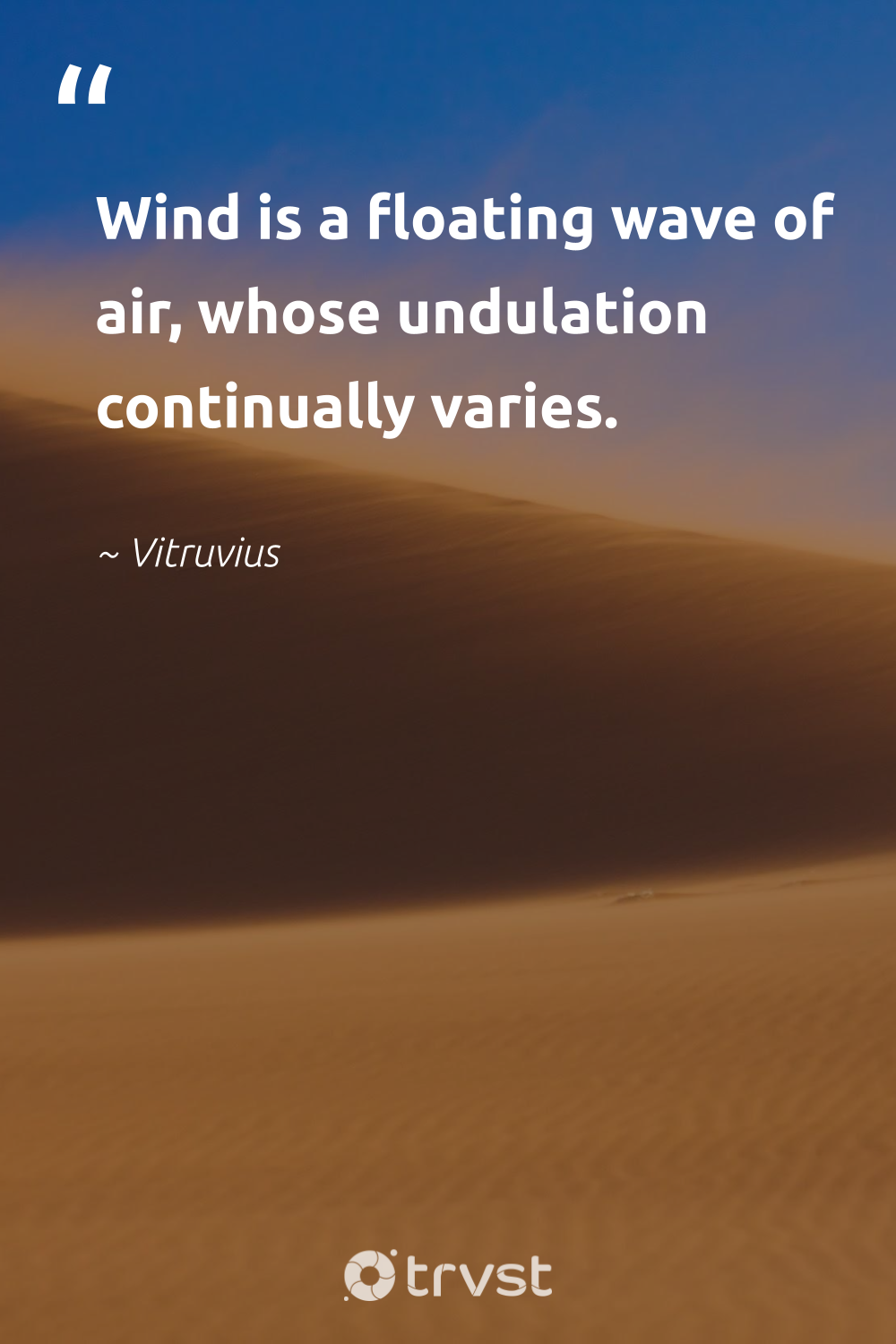 72 Wind Quotes About Brisk Days and Windy Moments (2025)