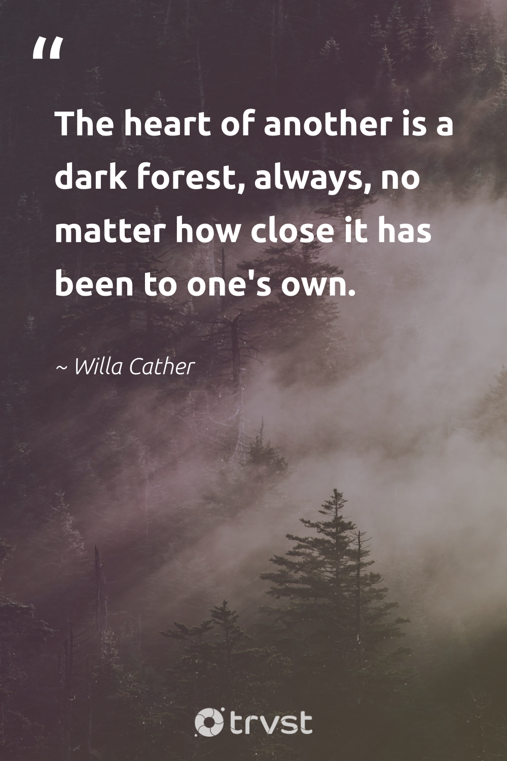 83 Forest Quotes For Outdoor Adventure and Conservation (2025)