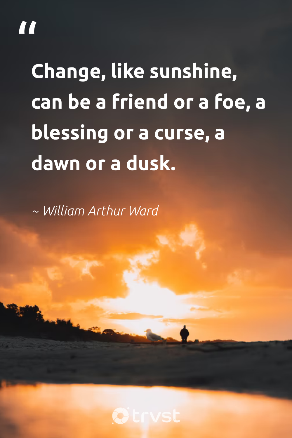 41 Dusk Quotes For the Transition from Day to Night (2025)