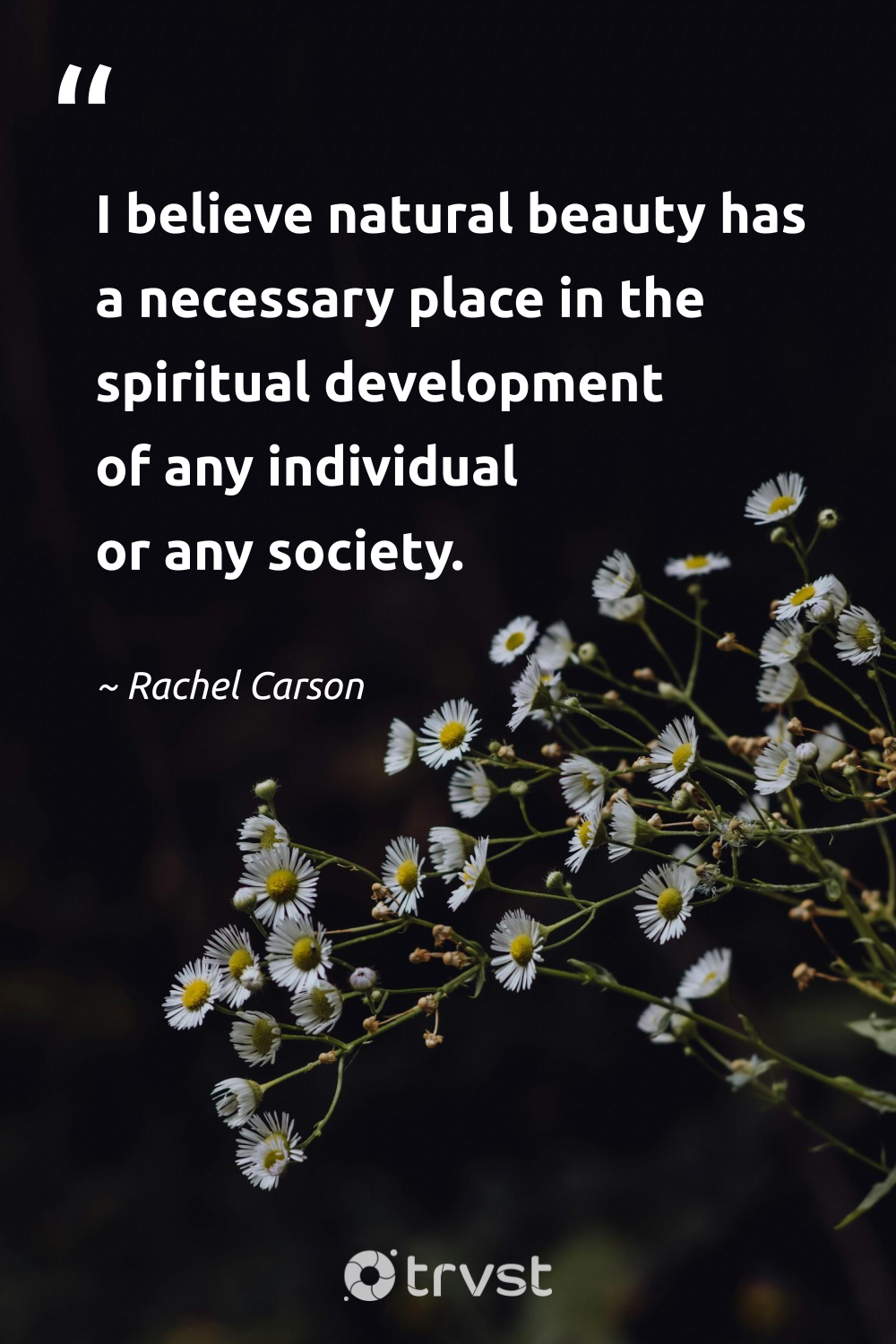 30 Rachel Carson Quotes Reliving Her Works