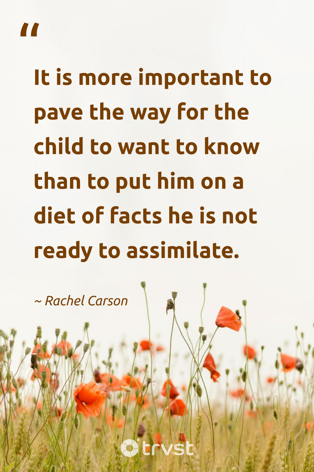 30 Rachel Carson Quotes Reliving Her Works