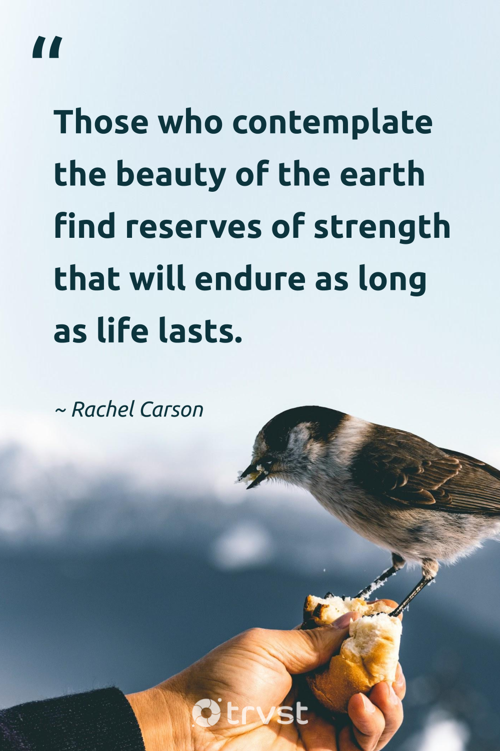 30 Rachel Carson Quotes Reliving Her Works