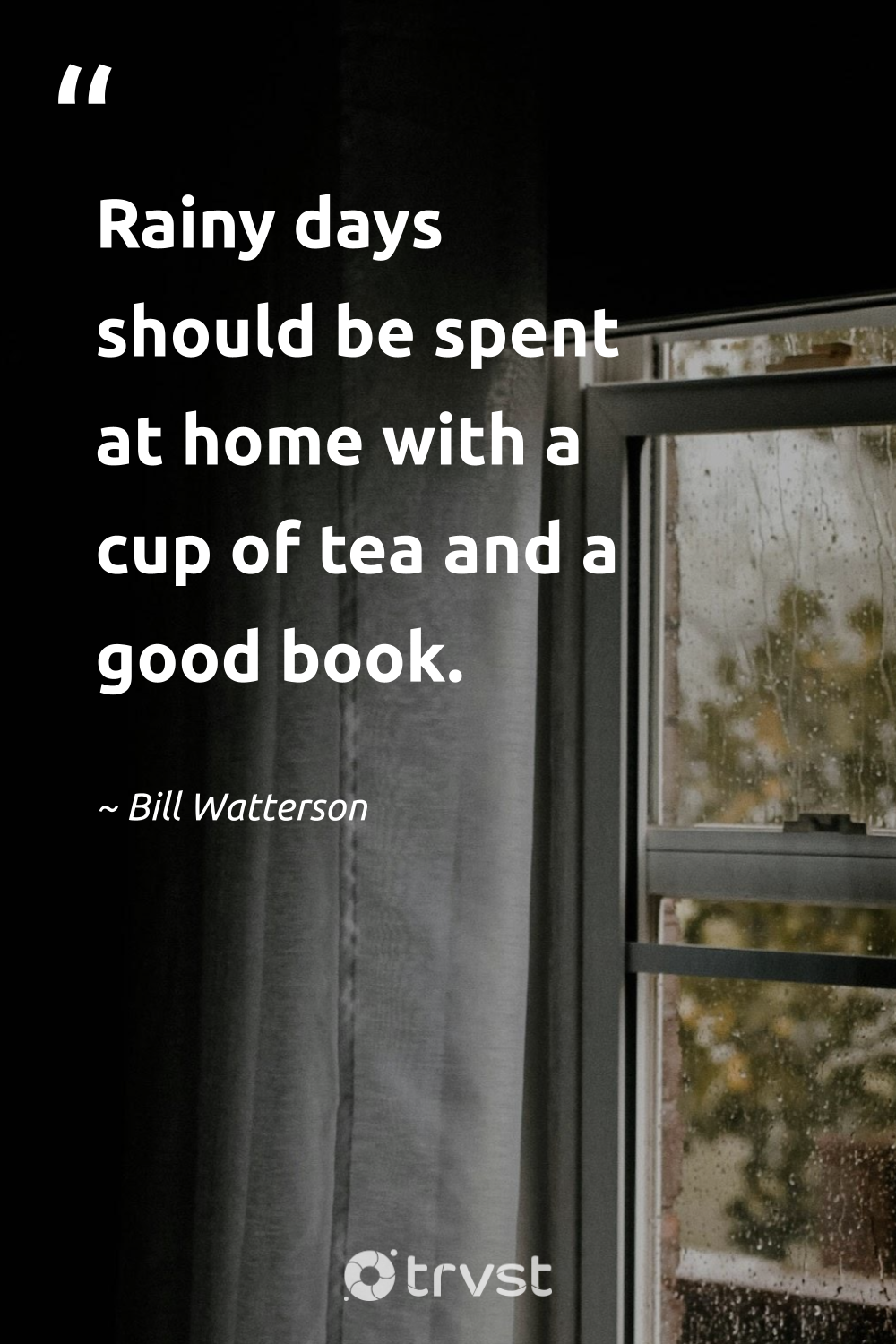 108 Inspiring Rain Quotes To Uplift You On Gloomy Days (2024)