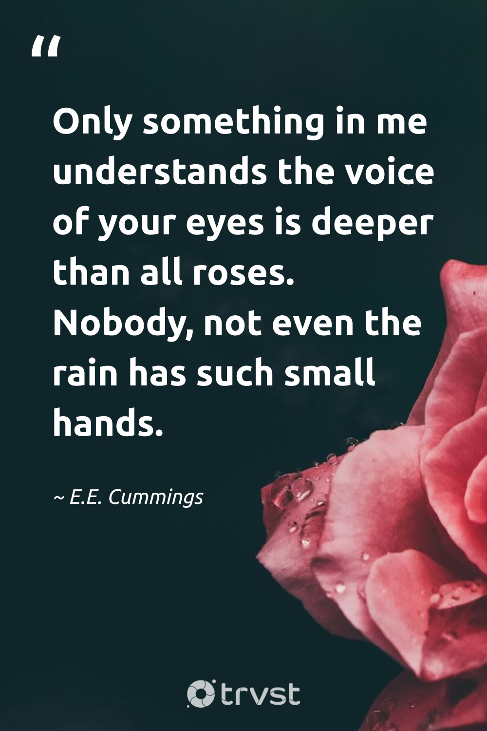 110 Inspiring Rain Quotes To Uplift You On Gloomy Days (2025)