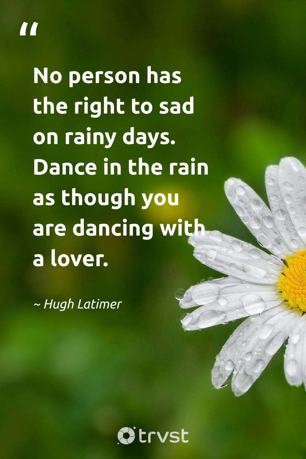 110 Inspiring Rain Quotes To Uplift You On Gloomy Days (2025)