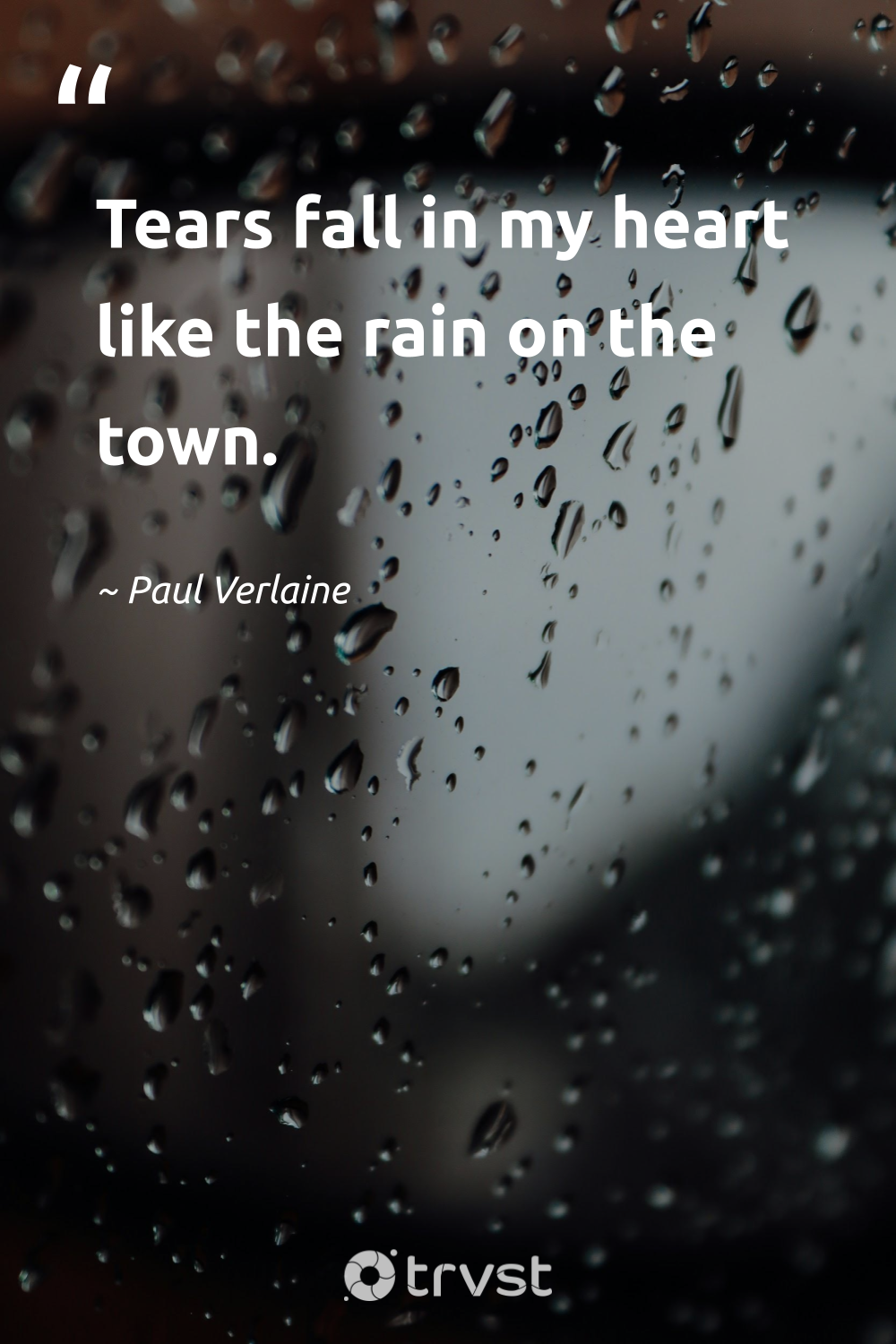 110 Inspiring Rain Quotes To Uplift You On Gloomy Days (2025)