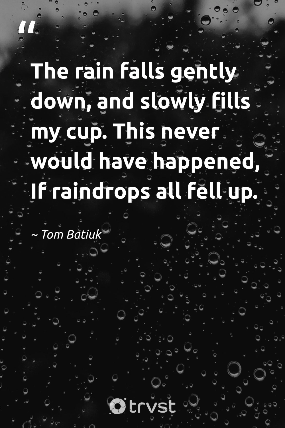 108 Inspiring Rain Quotes To Uplift You On Gloomy Days (2024)