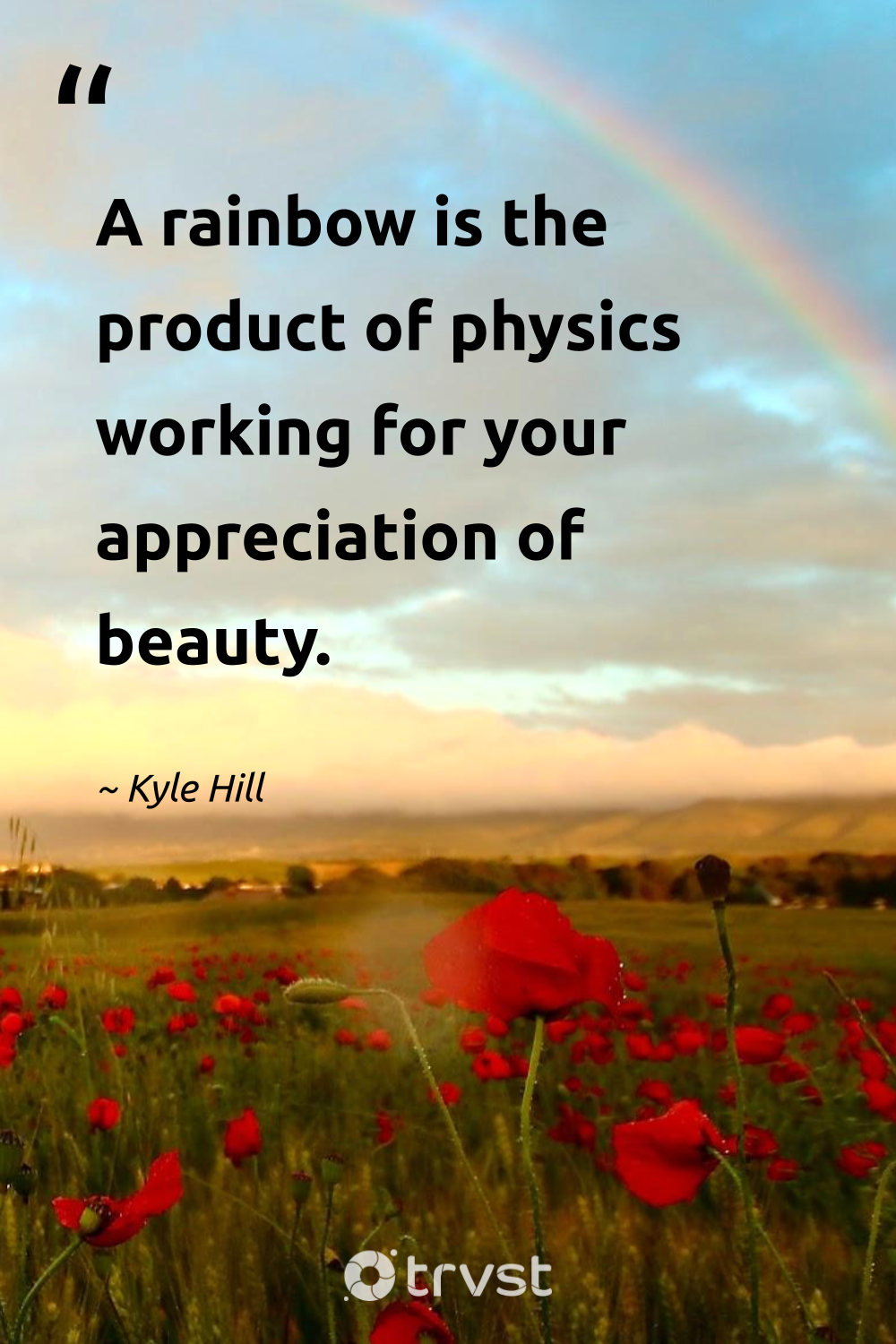 88 Rainbow Quotes Appreciating Colors to Brighten Any Day