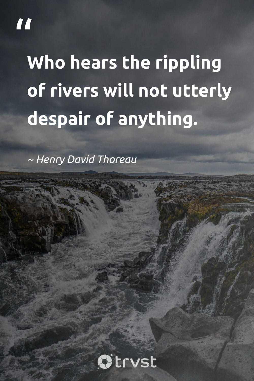 58 River Quotes to Navigate Life’s Currents and Meanders (2024)