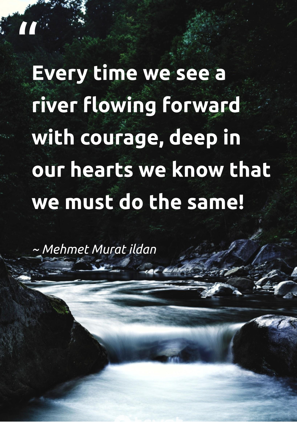 58 River Quotes to Navigate Life’s Currents and Meanders (2024)