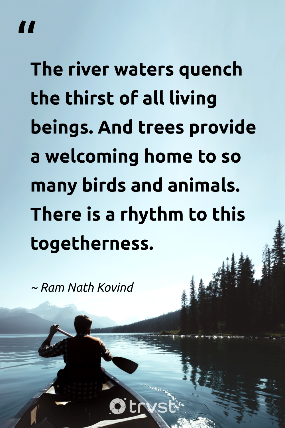 58 River Quotes to Navigate Life’s Currents and Meanders (2024)