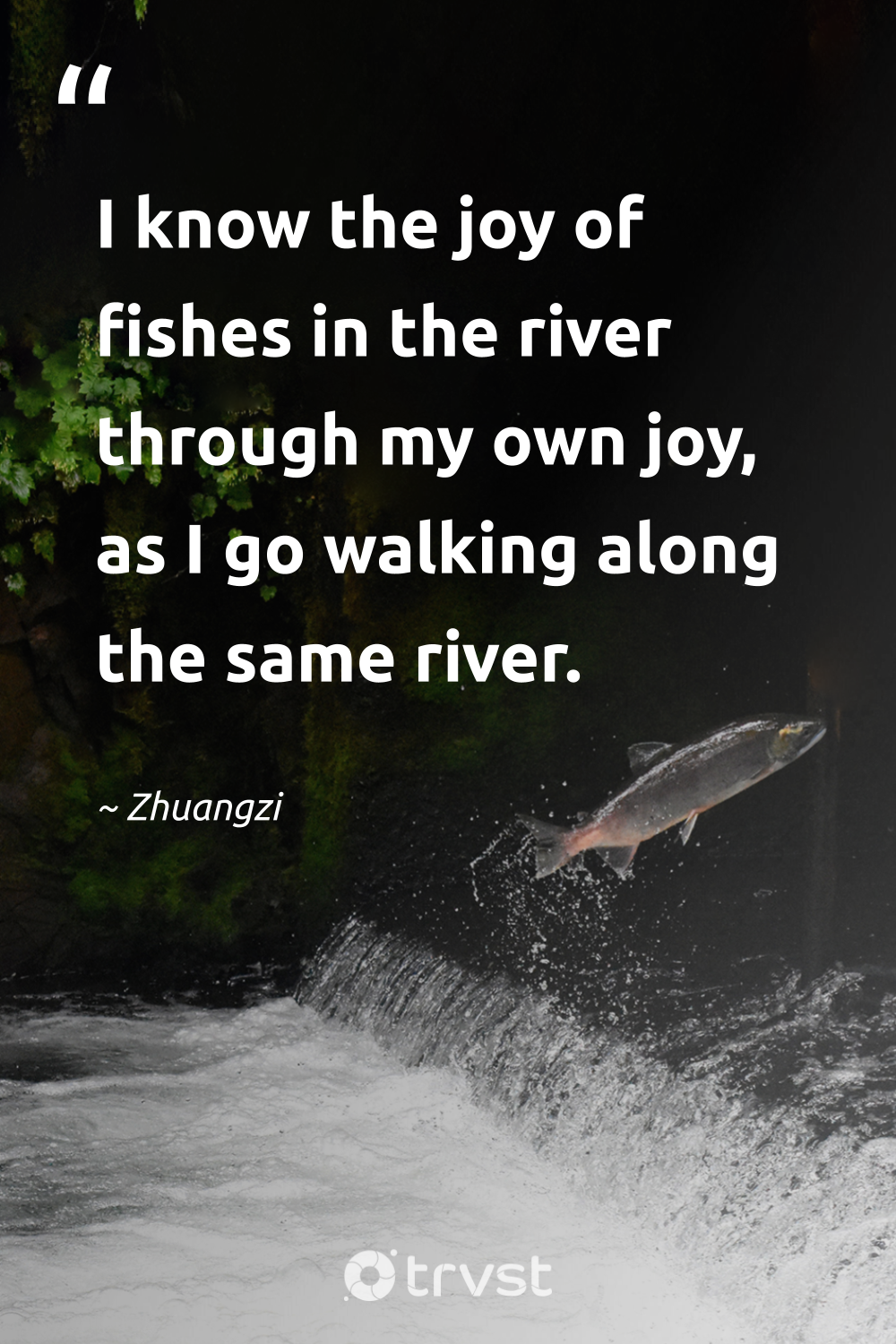 58 River Quotes to Navigate Life’s Currents and Meanders (2024)