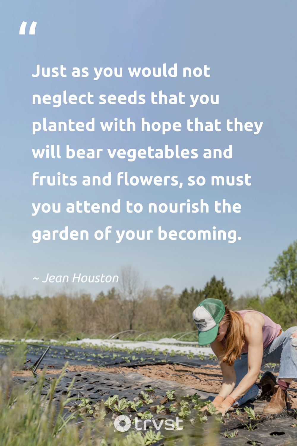 38 Seed Quotes to Inspire Growth, Patience and Resilience (2025)