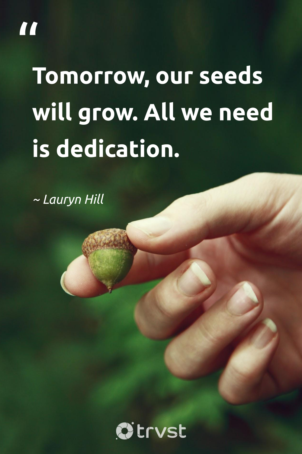 38 Seed Quotes to Inspire Growth, Patience and Resilience (2025)