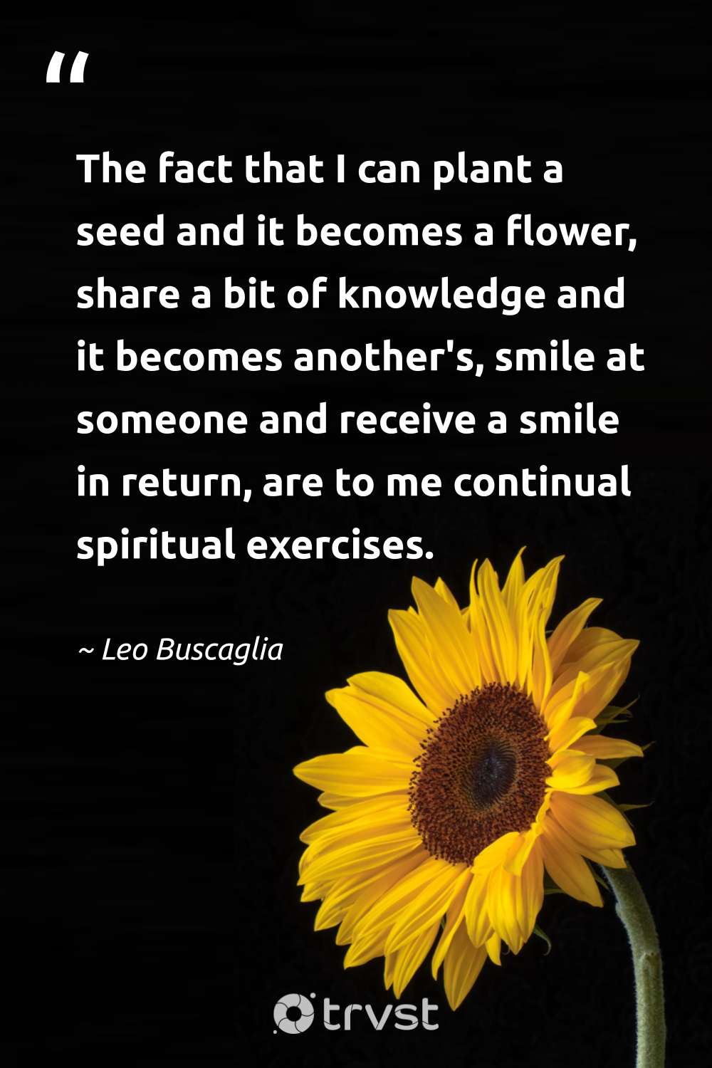 38 Seed Quotes to Inspire Growth, Patience and Resilience (2025)