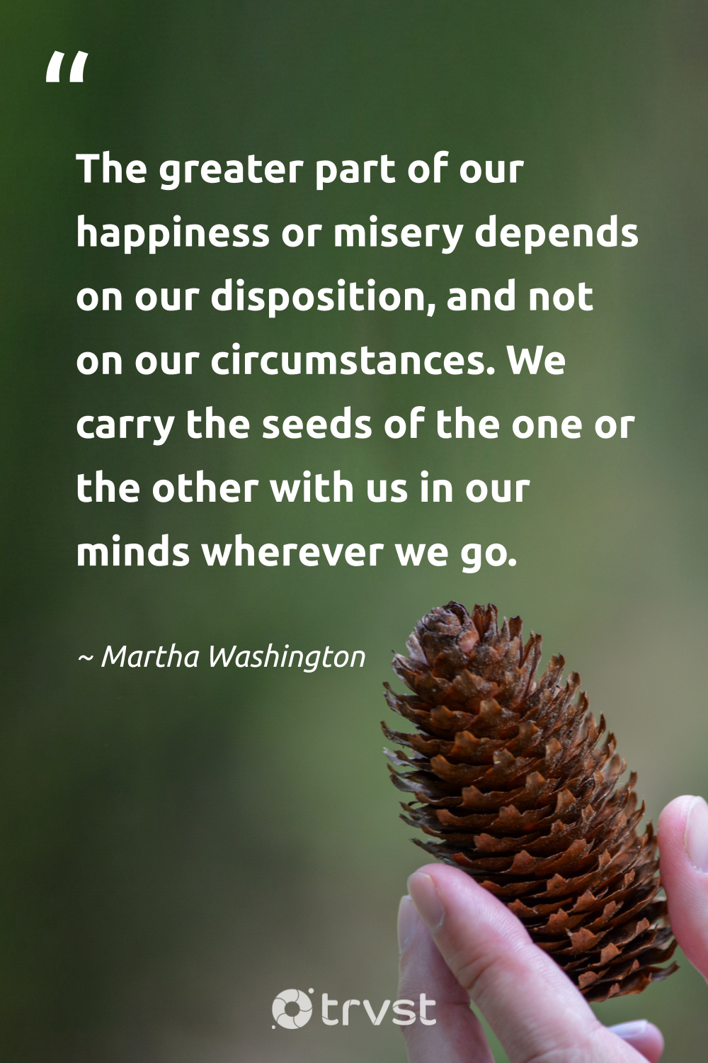 38 Seed Quotes to Inspire Growth, Patience and Resilience (2025)