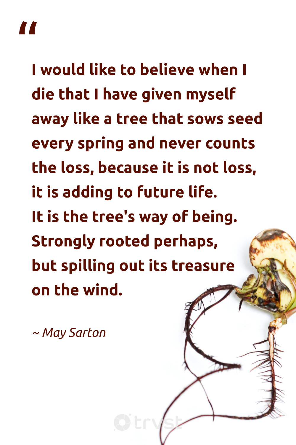 38 Seed Quotes to Inspire Growth, Patience and Resilience (2025)