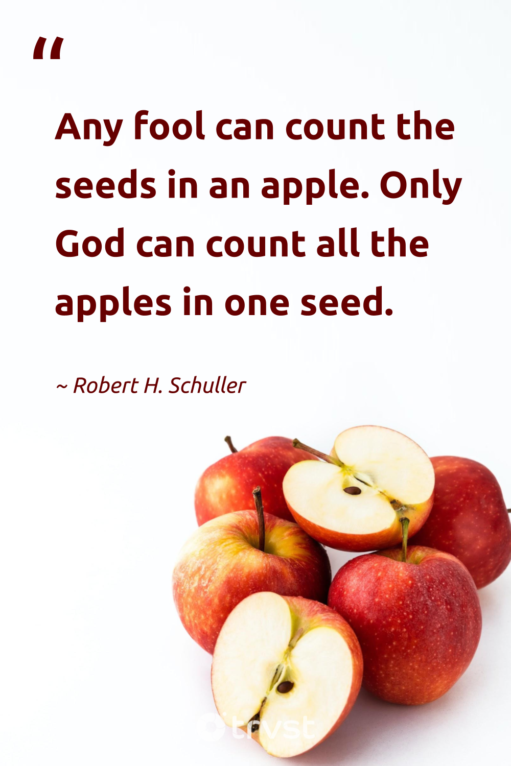 38 Seed Quotes to Inspire Growth, Patience and Resilience (2025)