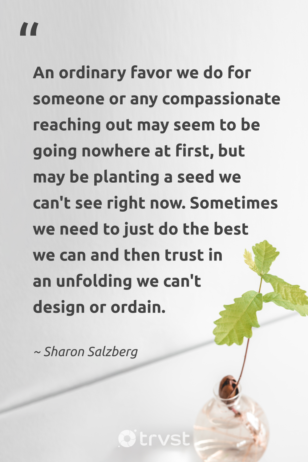 38 Seed Quotes to Inspire Growth, Patience and Resilience (2025)