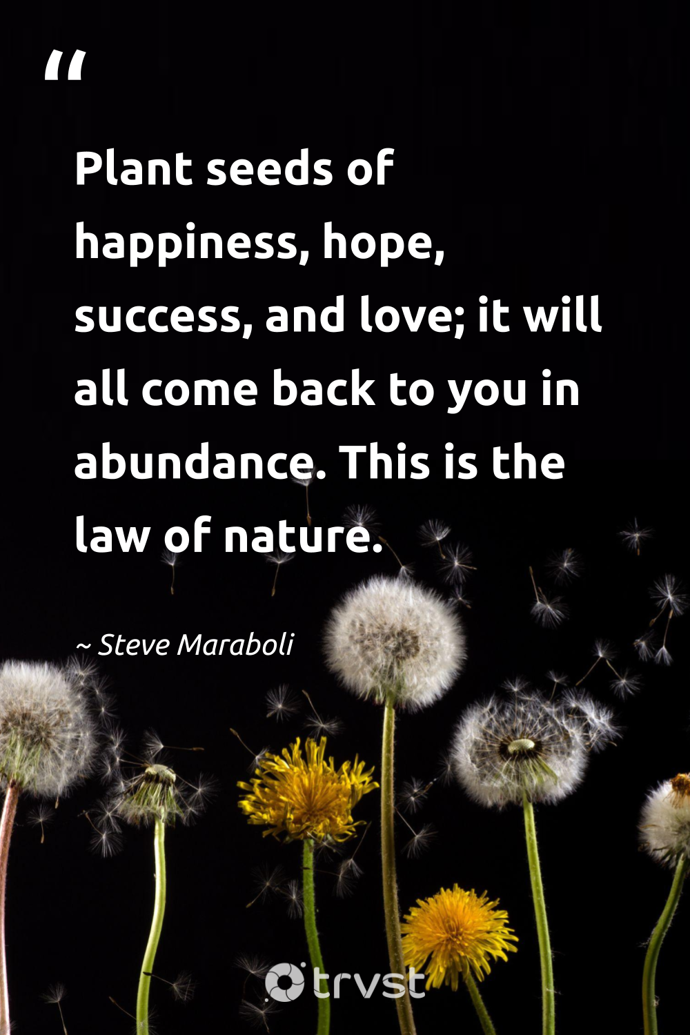 38 Seed Quotes to Inspire Growth, Patience and Resilience (2025)