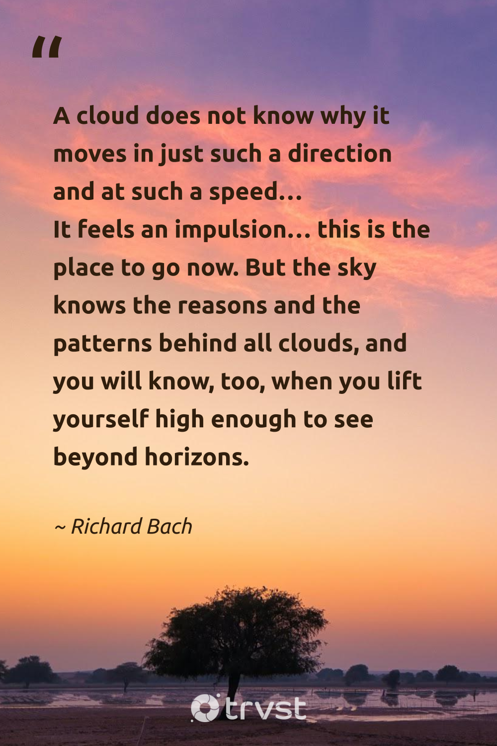 96 Sky Quotes To Inspire You To Look Up In Appreciation (2025)