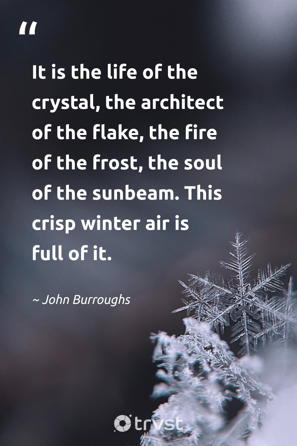 62 Snow Quotes And Sayings Glistening In The Cold