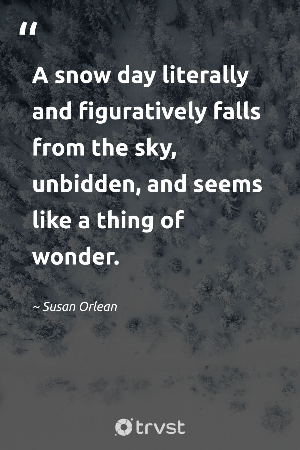 62 Snow Quotes And Sayings Glistening In The Cold