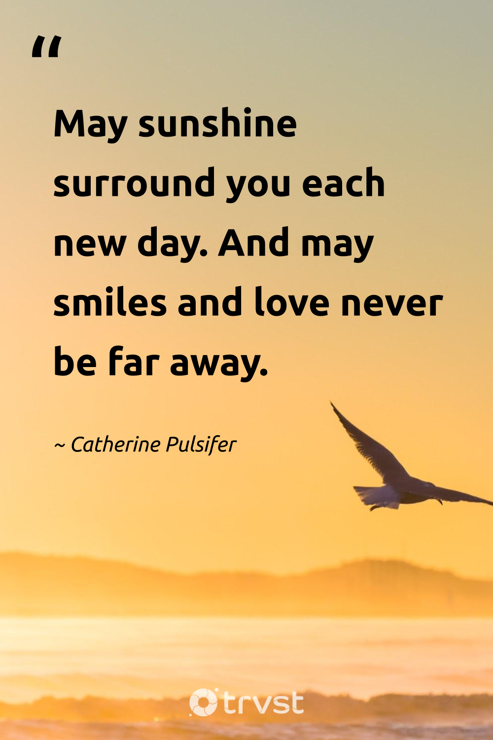 81 Sun Quotes & Captions To Brighten Your Day (2024)